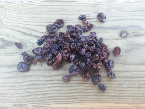 How To Make Raisins - Free Science Activity Printable For Kids - PK1Kids