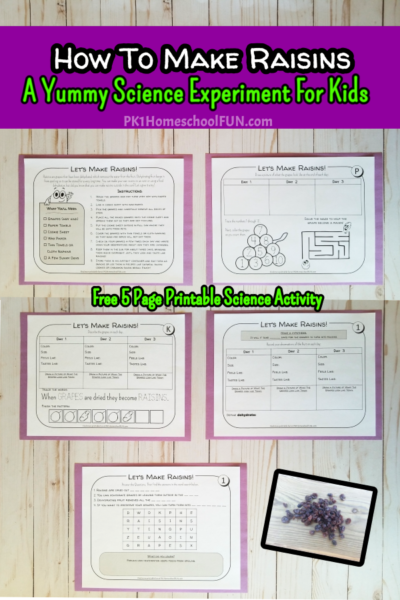 How To Make Raisins - Free Science Activity Printable For Kids - PK1Kids