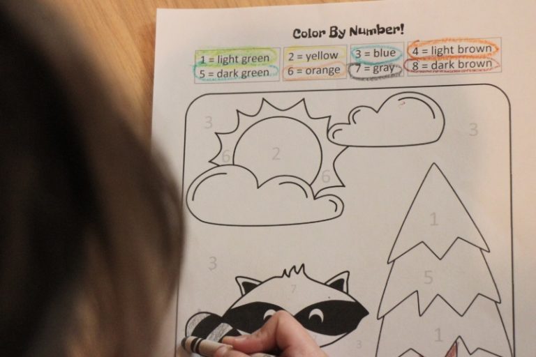 Color By Numbers Forest Animals Printable - PK1Kids