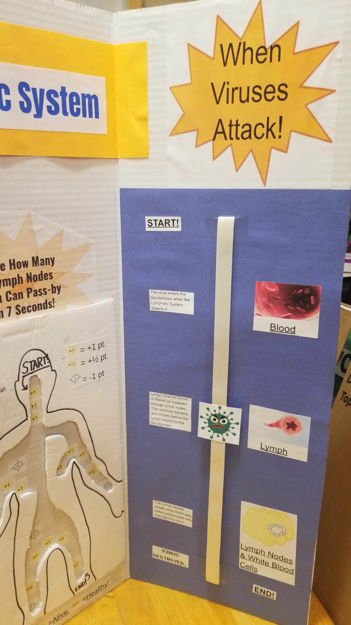 Free Homeschool Science & Project Fair Printable Guide - PK1Kids