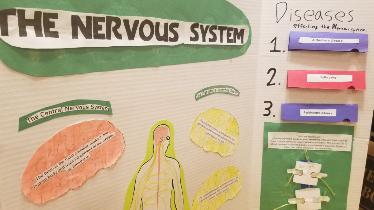 Free Homeschool Science & Project Fair Printable Guide - PK1Kids