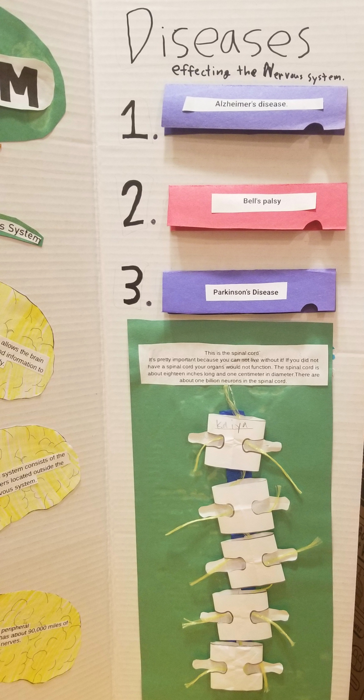 Free Homeschool Science & Project Fair Printable Guide - PK1Kids