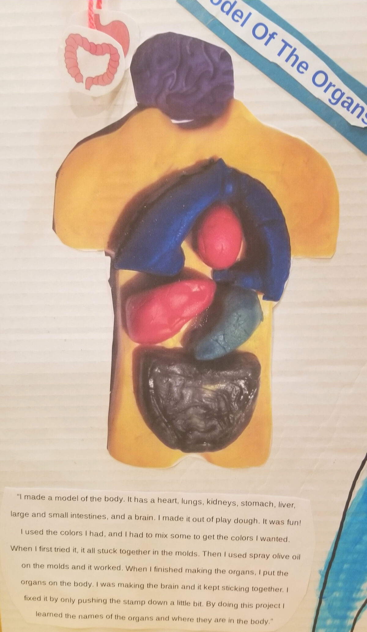 Free Homeschool Science & Project Fair Printable Guide - PK1Kids