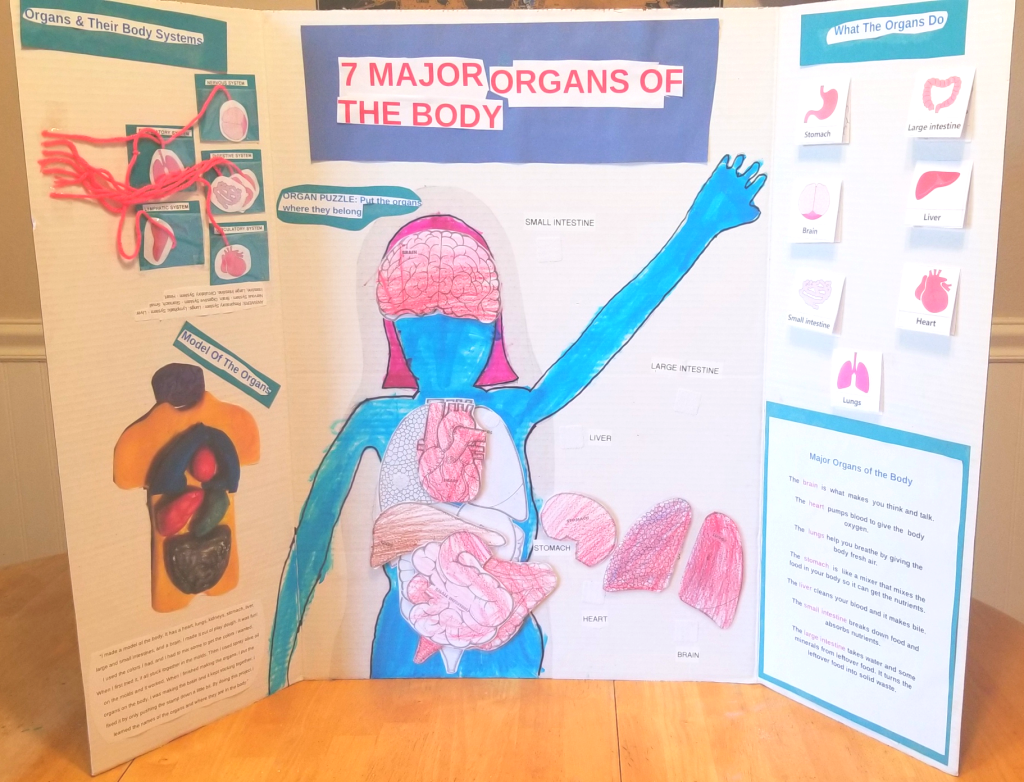 Free Homeschool Science & Project Fair Printable Guide - PK1Kids