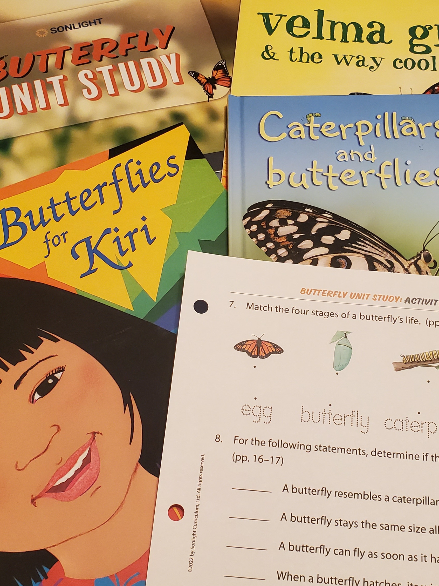 Easy Butterfly Unit Study - PK1Kids