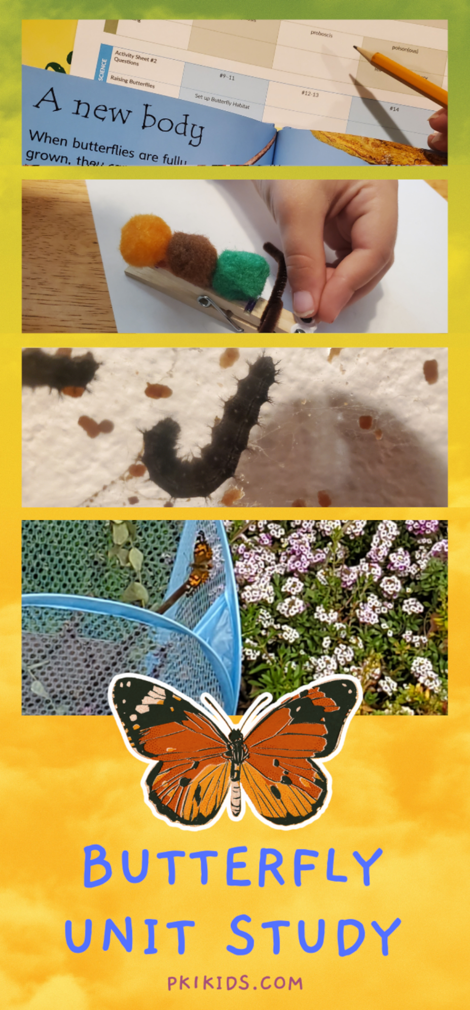 Easy Butterfly Unit Study - PK1Kids